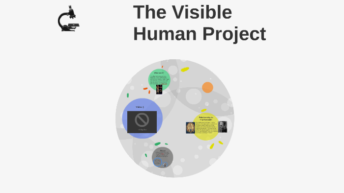 The Visible Human Project by Bayli Swett on Prezi