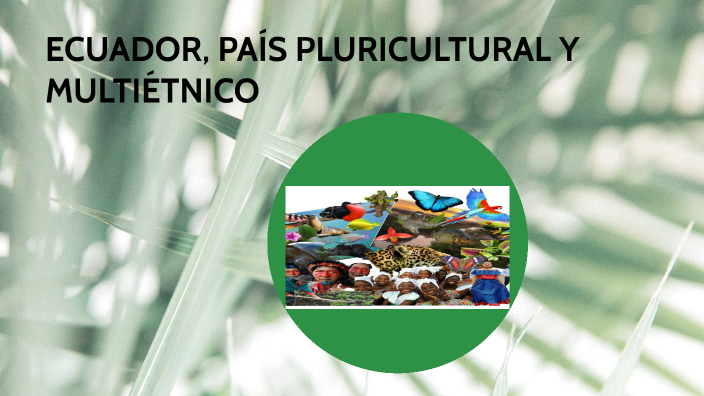 ECUADOR, PAÍS PLURICULTURAL Y MULTIÉTNICO by JHOANAN ISMAEL CAICEDO ...