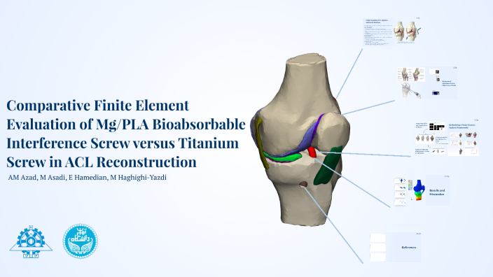 Comparative Finite Element Evaluation of Mg/PLA Bioabsorbable ...