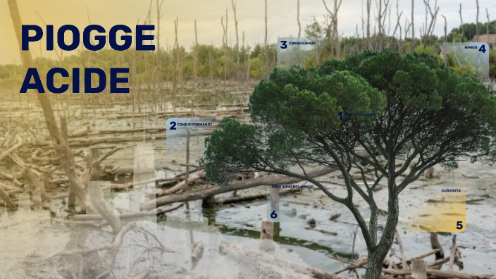 PIOGGE ACIDE by Matteo Nardecchia on Prezi