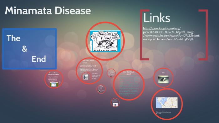 Minamata Disease (dancing cat fever) by grace lehnert on Prezi