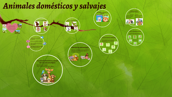 Animales domésticos y salvajes by Perla Cepeda on Prezi