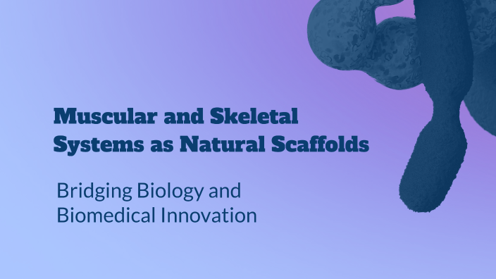 Muscular and Skeletal Systems as Natural Scaffolds by Sai Krishna S on ...