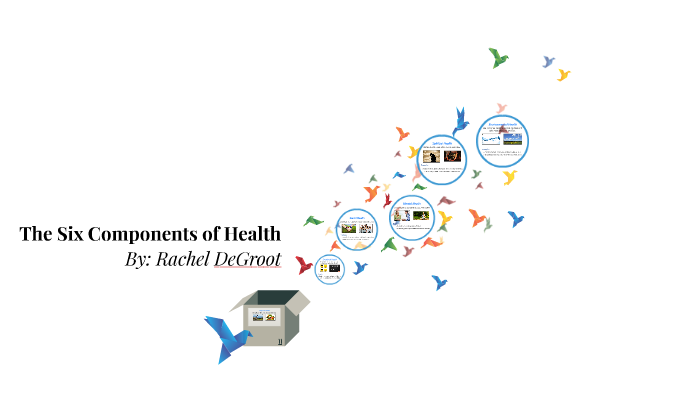 The Six Components of Health by Rachel DeGroot on Prezi