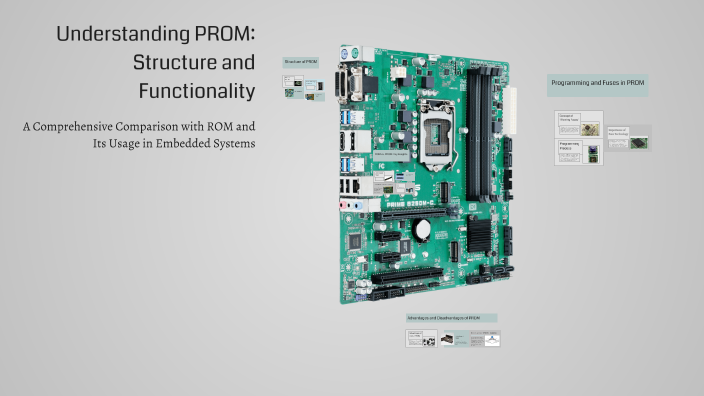 Understanding PROM: Structure and Functionality by Udita Kalra on Prezi