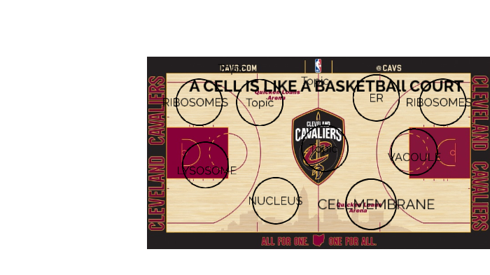 A CELL IS LIKE A BASKETBALL COURT by Mohamed Issack on Prezi