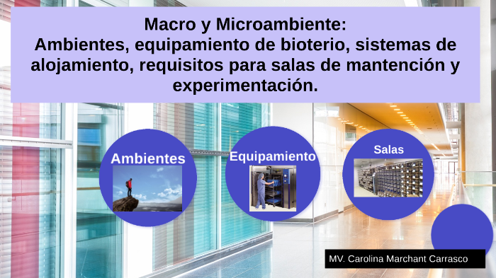 macro y micro ambiente by Carolina Marchant on Prezi