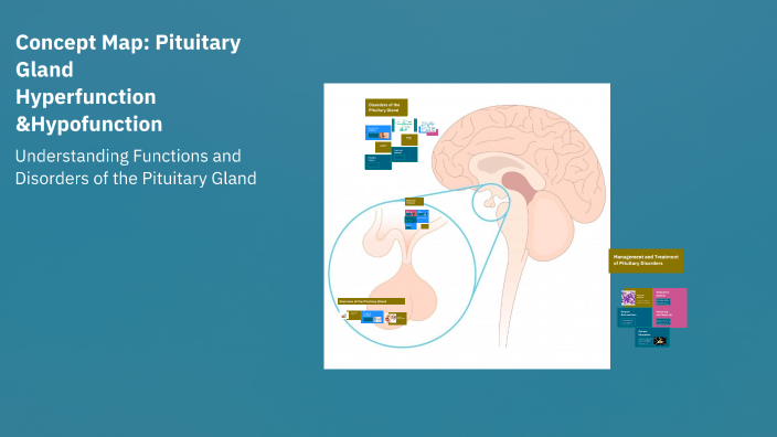 Medsurg Concept Map: Pituitary Gland by Hayde Sakurajima on Prezi