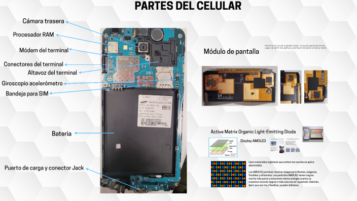 PARTES DEL CELULAR by Julieta Cuervo Suárez on Prezi