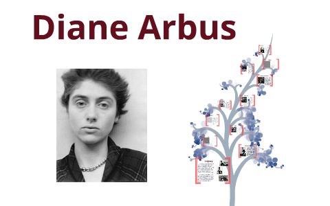 elements and principles of design by rose conlin on Prezi