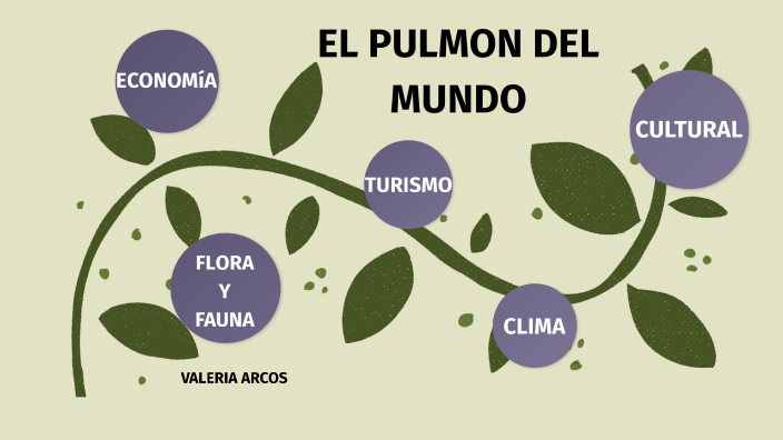 EL PULMON DEL MUNDO by VALERIA MONCAYO ARCOS on Prezi