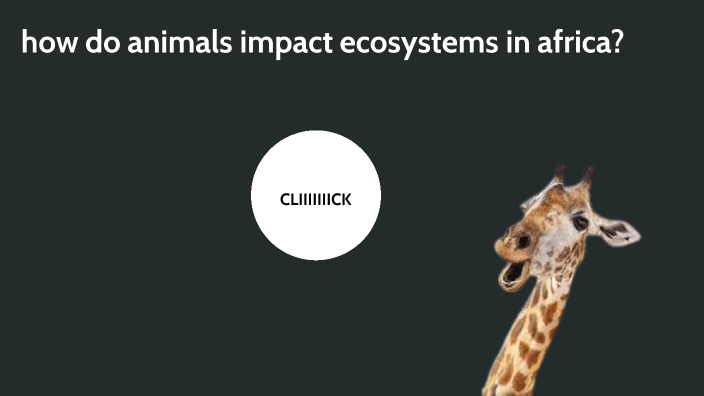 africa by GEORGE URNESS on Prezi