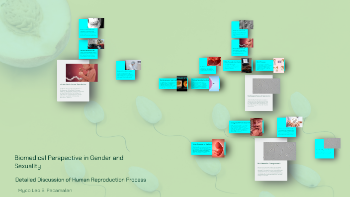 Biomedical Perspective on Gender and Sexuality by MYCO LEO B. PACAMALAN ...