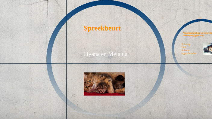 spreekbeurt by on Prezi
