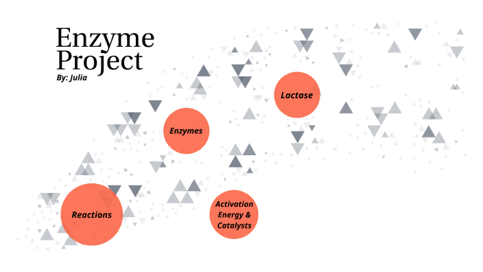 Enzyme Project by julia s on Prezi