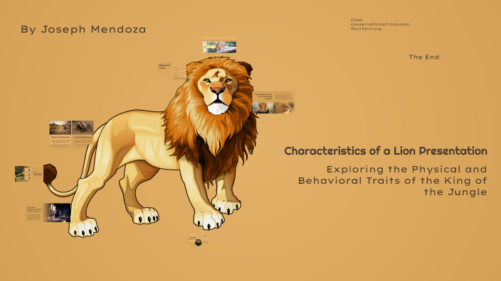 Characteristics of a Lion by Joseph mendoza on Prezi