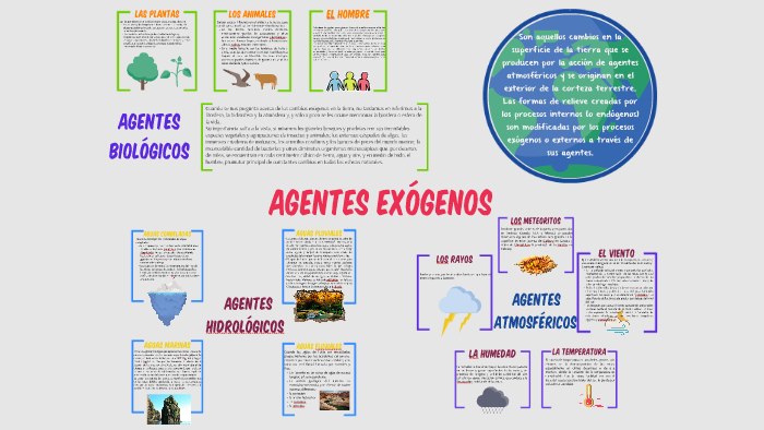 AGENTES EXÓGENOS by Paola Dawson on Prezi