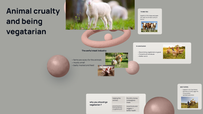 the meats industry is cruel and why people should become vegatarians by ...