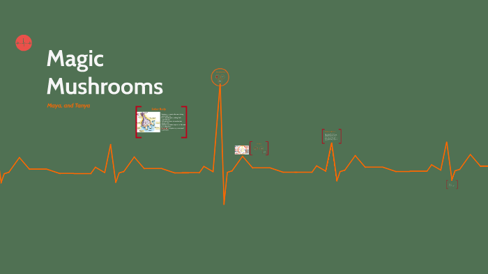 Magic Mushrooms by Maya Fink on Prezi