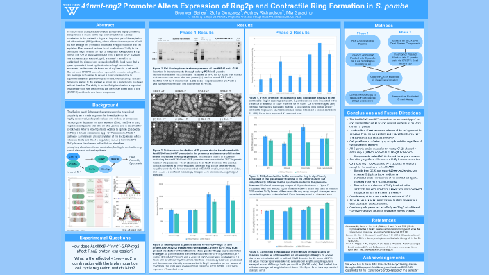 Molecular Genetics Poster Presentation by Mia Saracino on Prezi