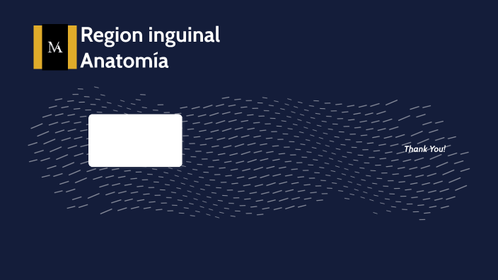 Anatomia: Region Inguinal by Edgar Fragoza on Prezi