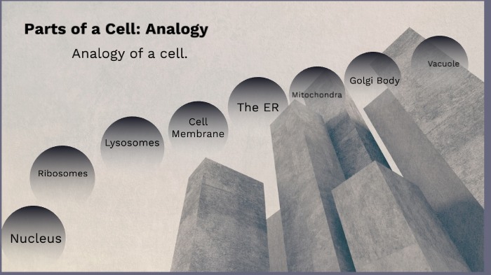 Parts of a Cell Analogy by Kate Brokowski on Prezi