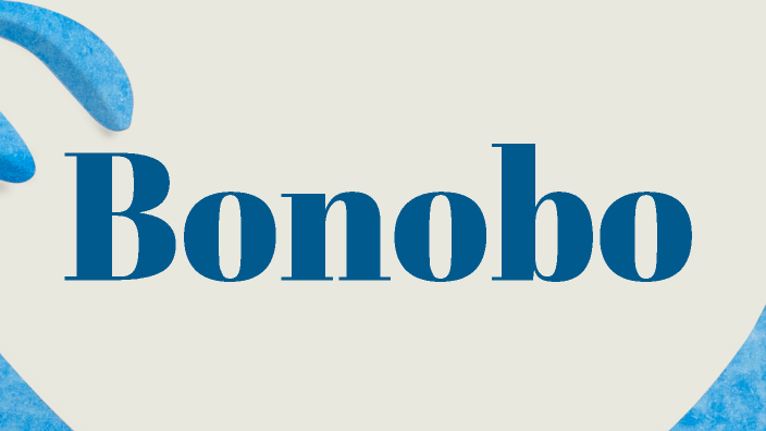 Bonobo by michael deloge on Prezi