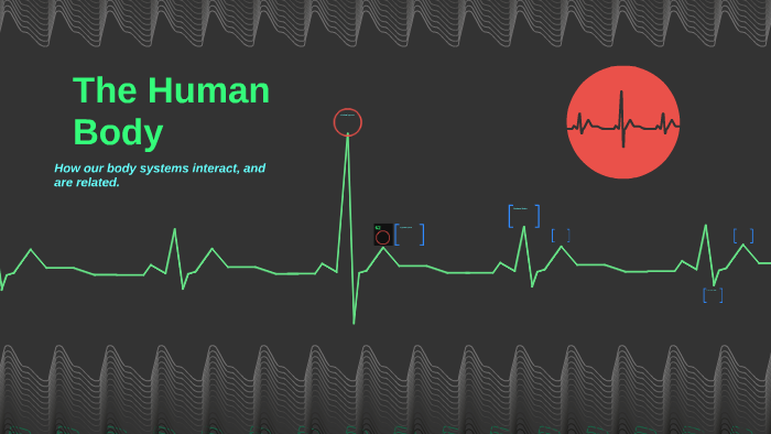 The Human Body by Chloe Handley on Prezi