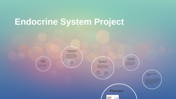 Endocrine System Project by Marissa Campbell on Prezi