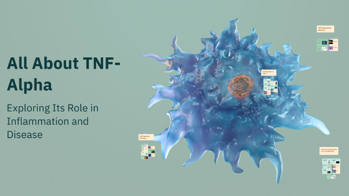 All About TNF-Alpha by dattu gou on Prezi