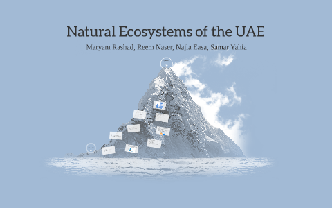 Natural Ecosystems of the UAE by Reem Almansoori on Prezi
