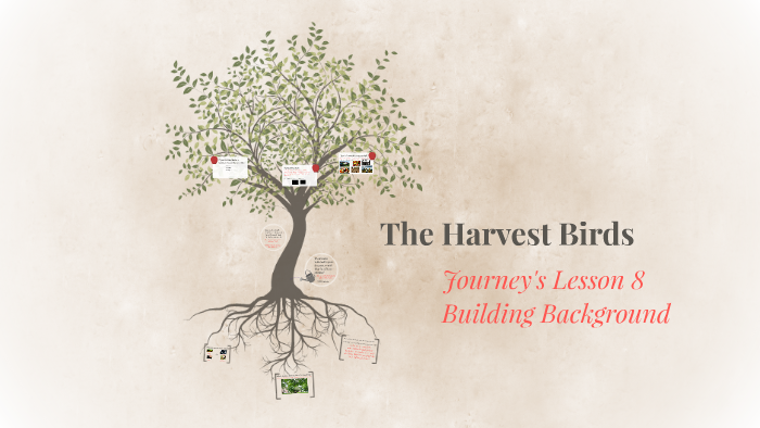 The Harvest Birds by Hope Albright on Prezi