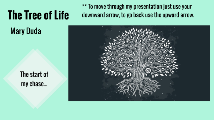 The Tree of Life by Mary Duda on Prezi