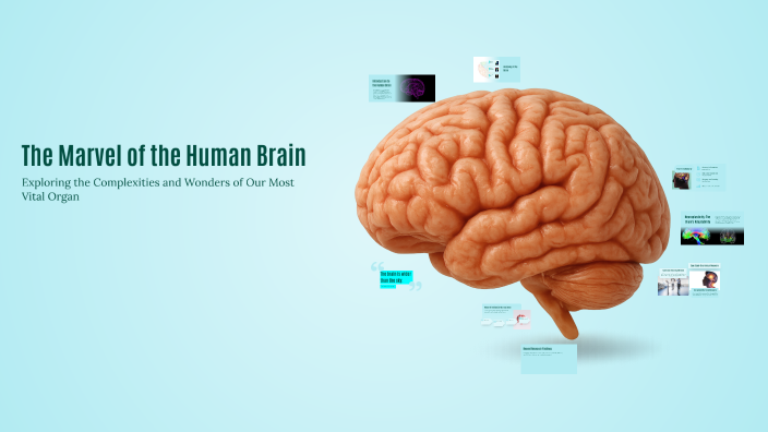 The Marvel of the Human Brain by dez conners on Prezi