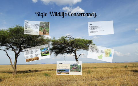 Kigio Wildlife Conservancy by Elijah Lamb on Prezi