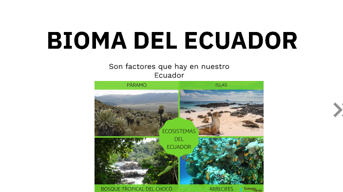 BIOMA DEL ECUADOR by Lourdes Gonzalez on Prezi