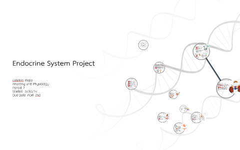 Endocrine System Project by Estefani Mejia on Prezi