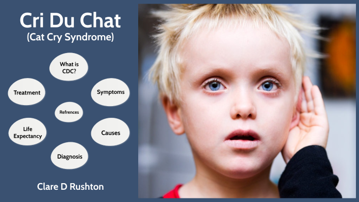 Cri Du Chat by Clare D Rushton on Prezi