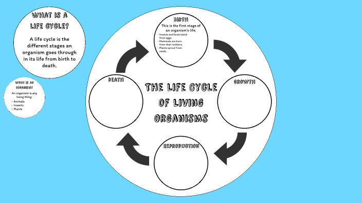 Life Cycles of Living Things by Kaitlyn Vogel on Prezi
