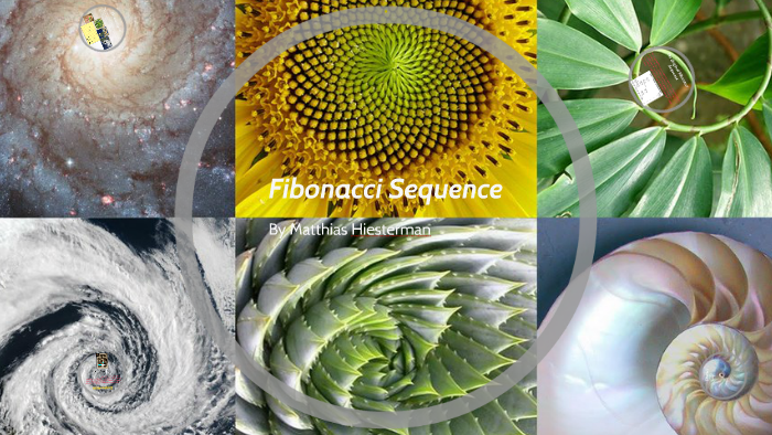 Fibonacci Sequence by Seline Namresti on Prezi