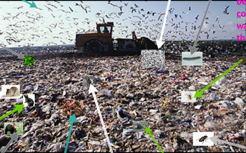 Landfill by Cassidy Nicholson- Bjerg on Prezi