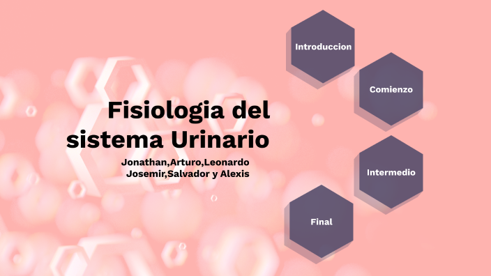 Exposición de Fisiología del sistema urinario by Jonathan Martínez on Prezi