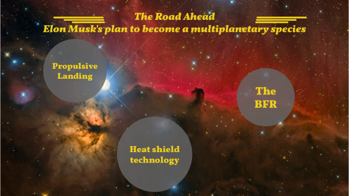 Multi Planet Species by Benjamin Heyer on Prezi