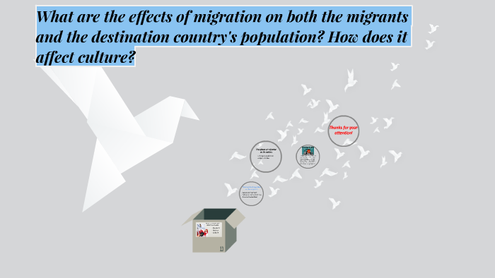 What are the effects of migration on both the migrants and t by John ...