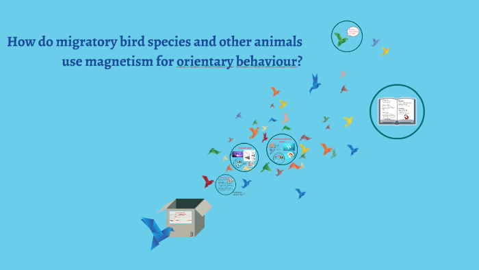 How do migrating birds and other animals use magnetism? by on Prezi