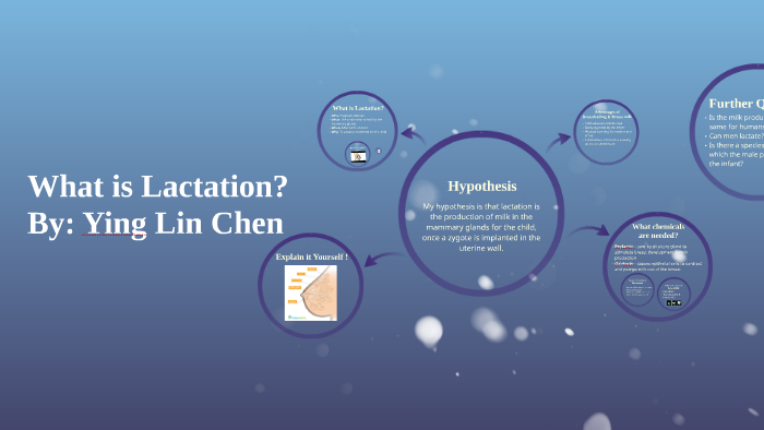 What is Lactation? by Ying Lin Chen on Prezi