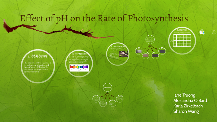 Effects of pH on the Rate of Photosynthesis by Alexandria O'Bard on Prezi