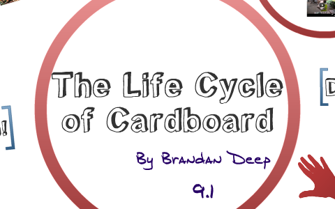 The Life Cycle of Cardboard by Brandan Deep