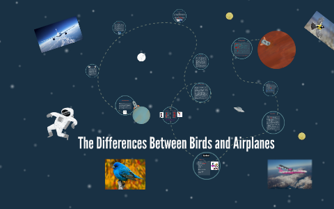 The Difference between birds and planes by Anjali Gupta on Prezi