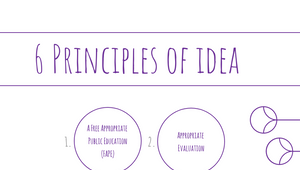 6 Principles of IDEA by michaela james on Prezi Design